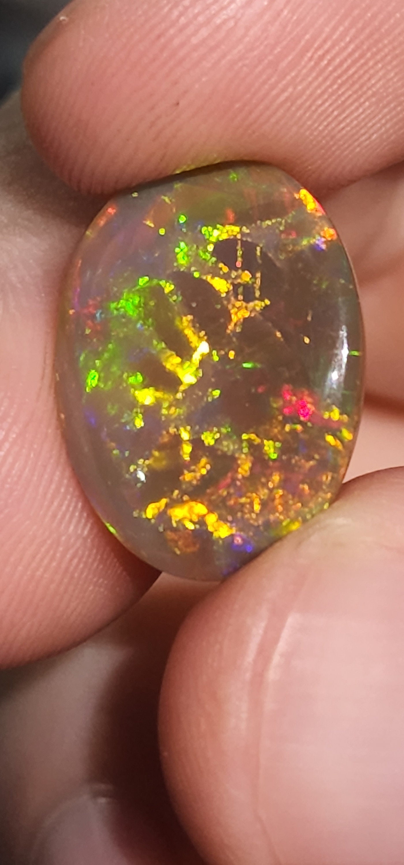 OPAL FOSSIL 10.2 Ct Gold Flash Claw Pattern Opal Incredibly Rare & One ...
