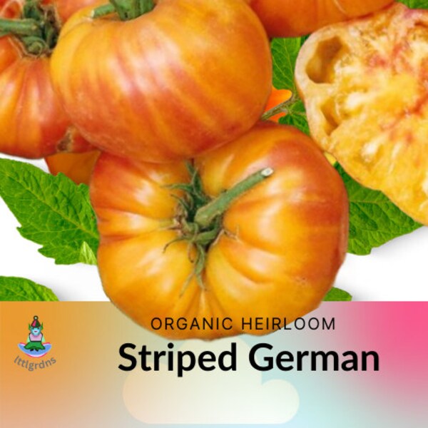 Striped German Tomato Seeds - Etsy