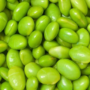 Chiba Green Soybean Seeds, Heirloom Non GMO, Easy to Grow and Delicious ...