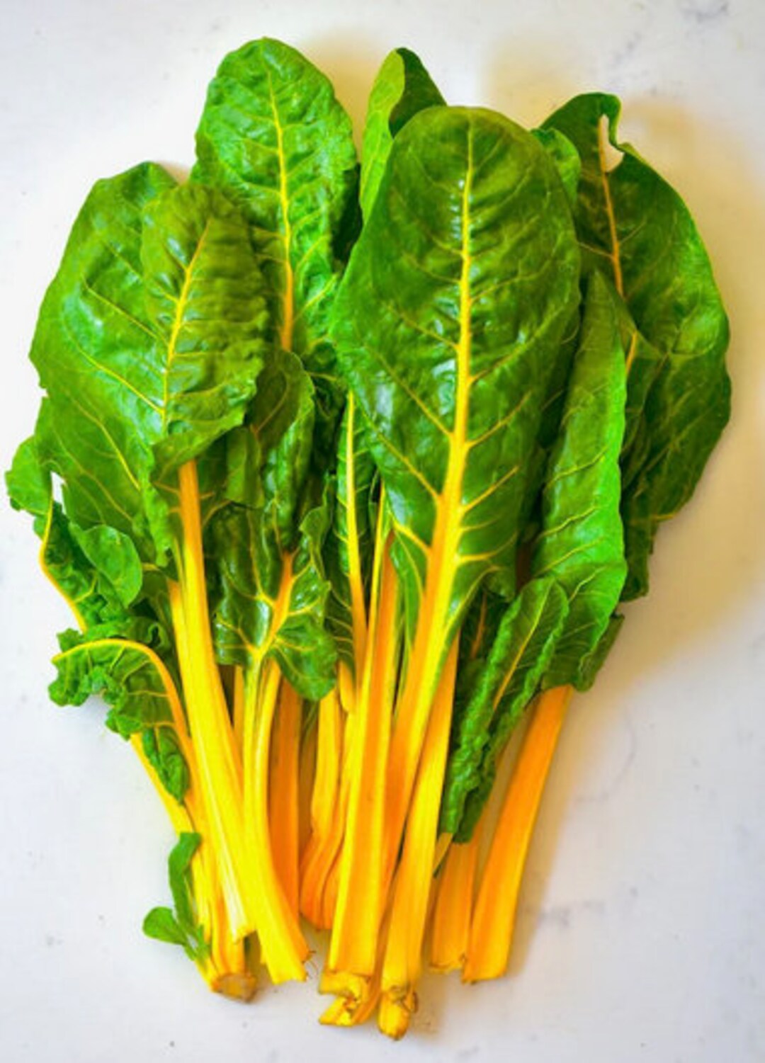 Swiss Chard Seeds, Organic Golden Sunrise Swiss Chard Seeds Yellow ...