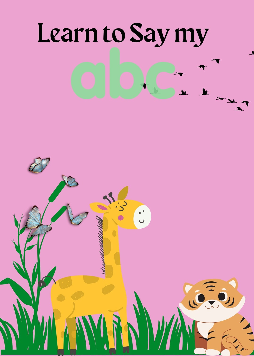 ABC Flash Cards for Kids - Etsy