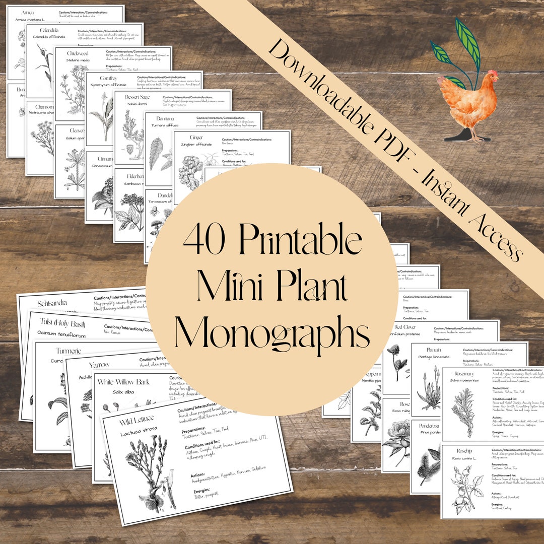 40 Printable Mini Plant Monographs: Herbalist Materia Medica (PDF) - Etsy