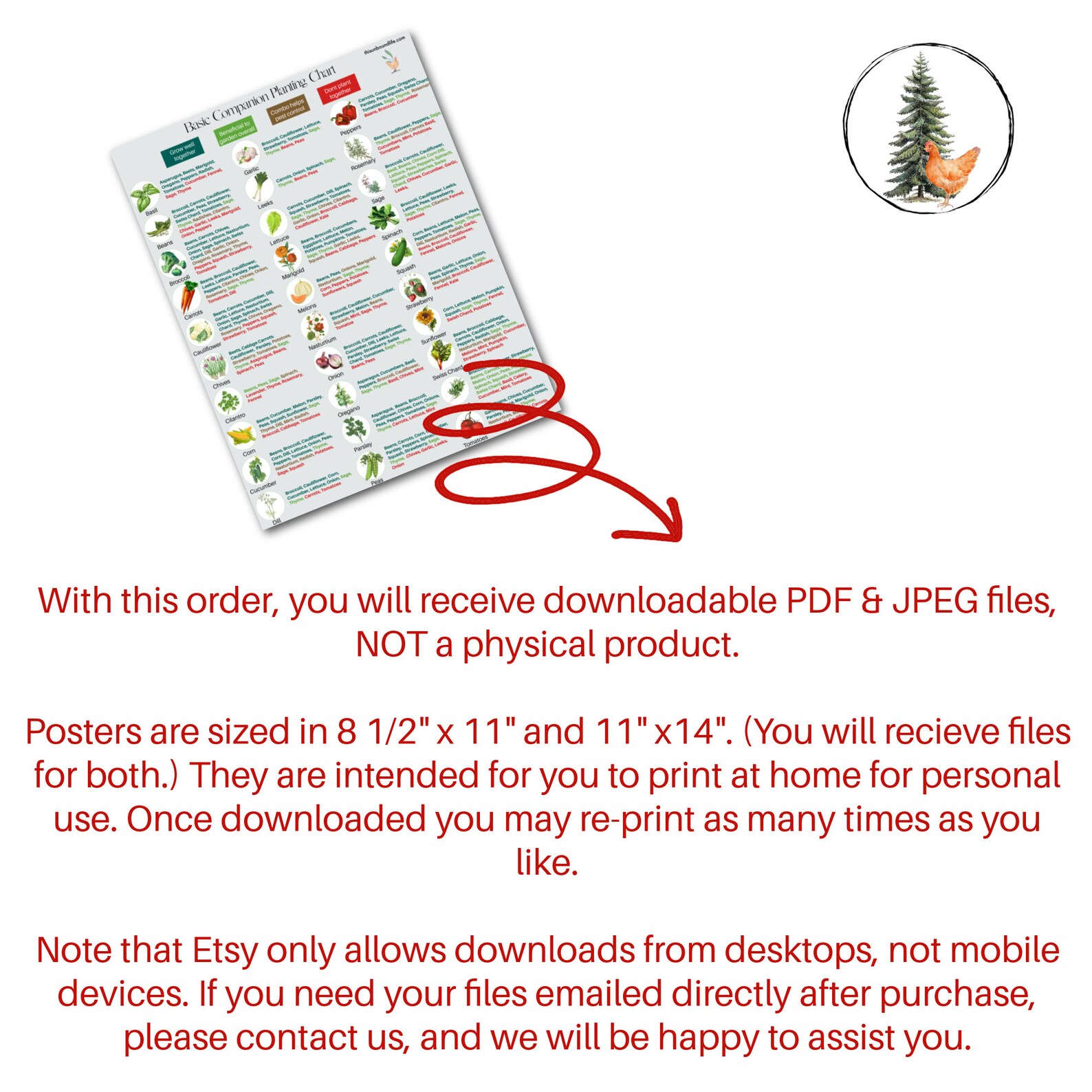 Basic Companion Planting Chart Printable Poster Companion Planting ...