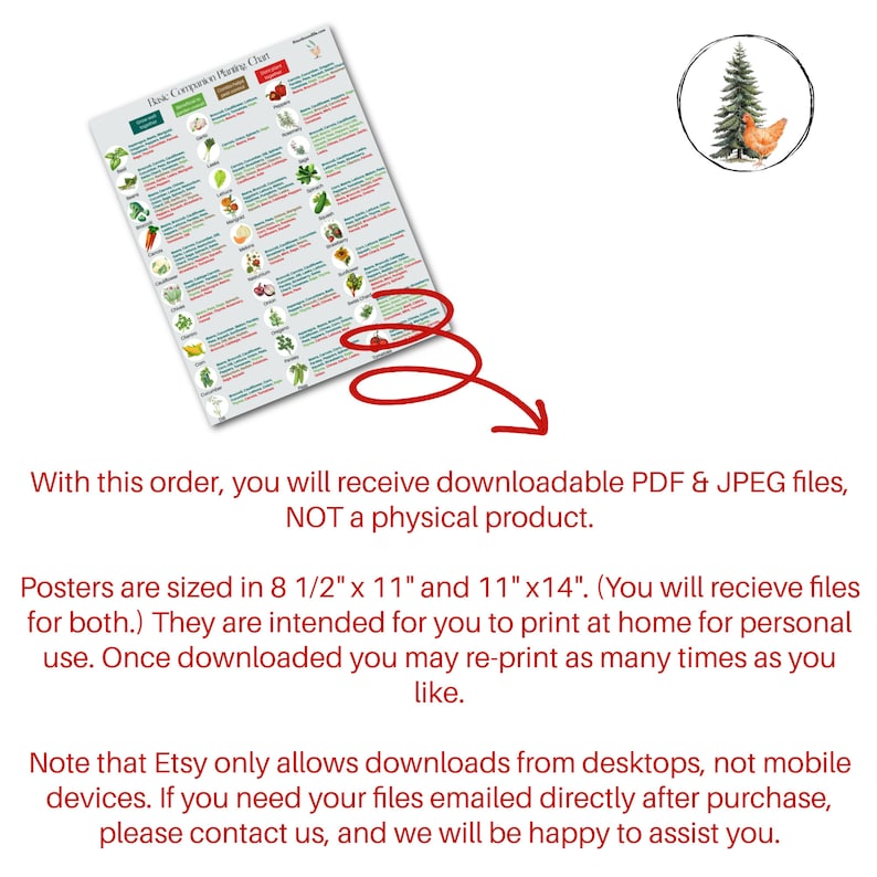 Companion Planting Chart | Garden Guide Poster (digital Download) - Etsy