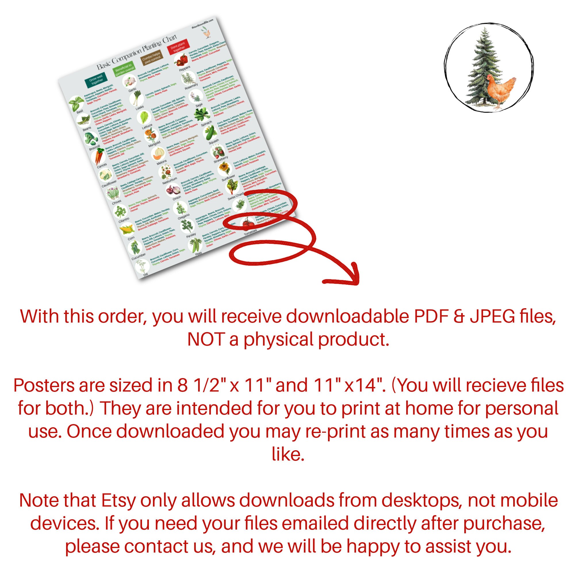 Melon Companion Planting Chart
