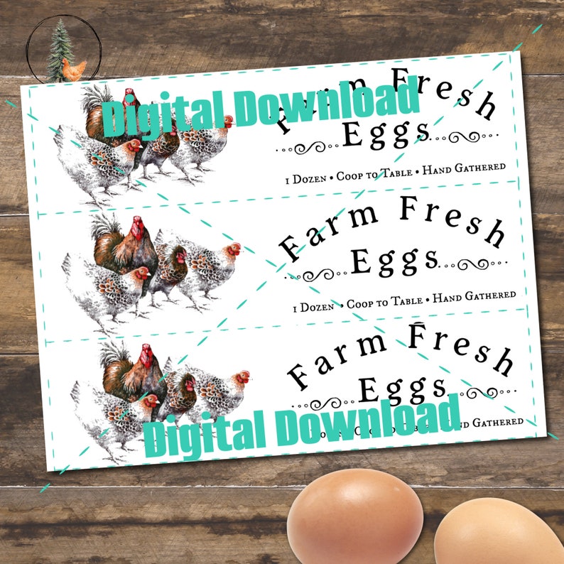 Flock of Chickens Egg Carton Labels Printable Egg Carton Label, Digital ...