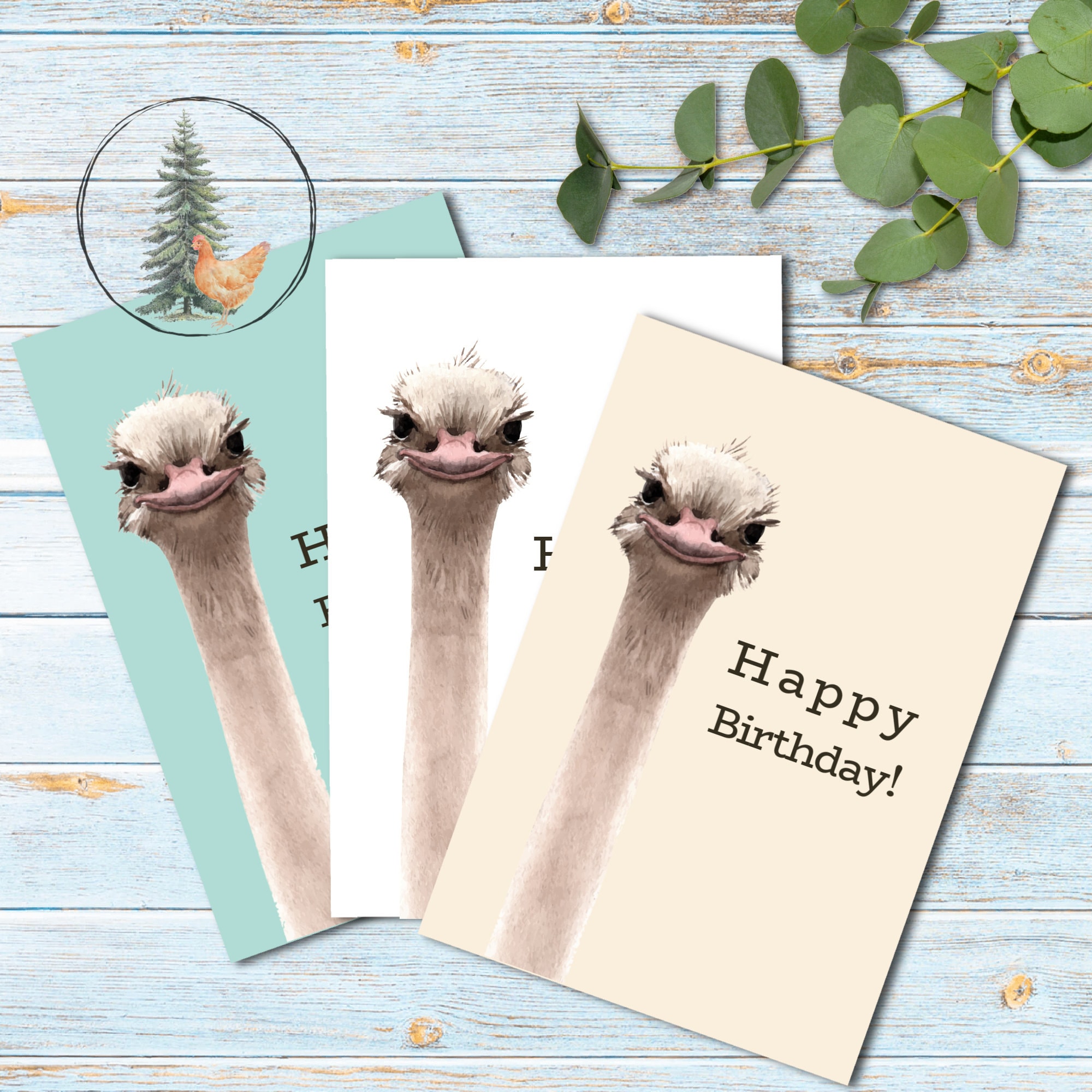 Funny Ostrich Birthday Card, Printable Greeting Card, Digital Download ...