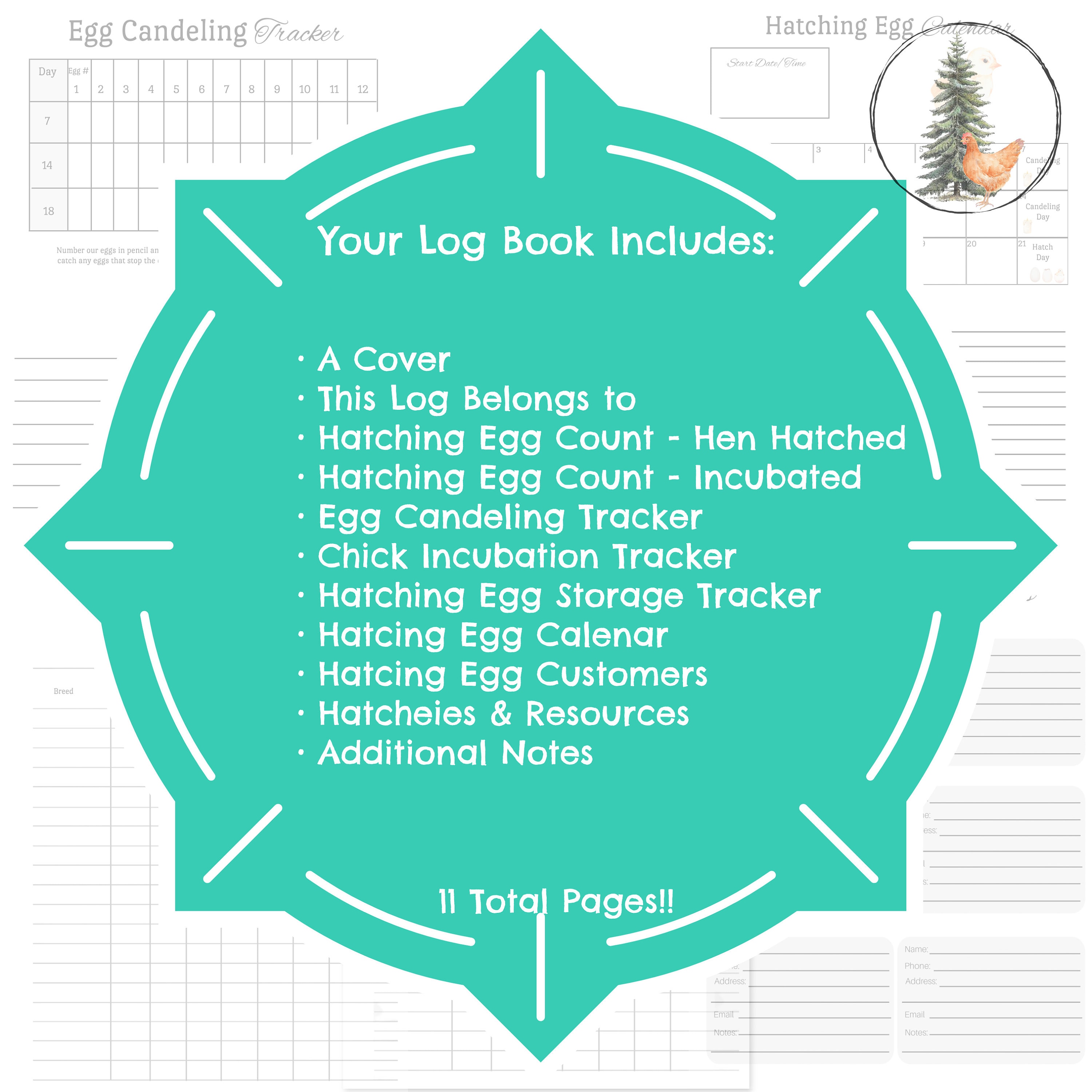 Chicken Hatching Log: 11-page Incubation Records (digital Download) - Etsy