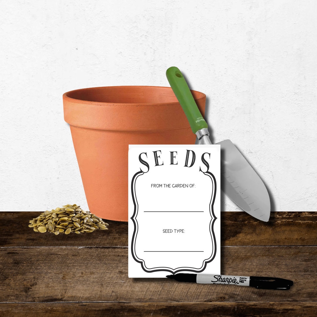 Basic Seed Packet Template - Seed Envelope - Seed Saving Packet ...