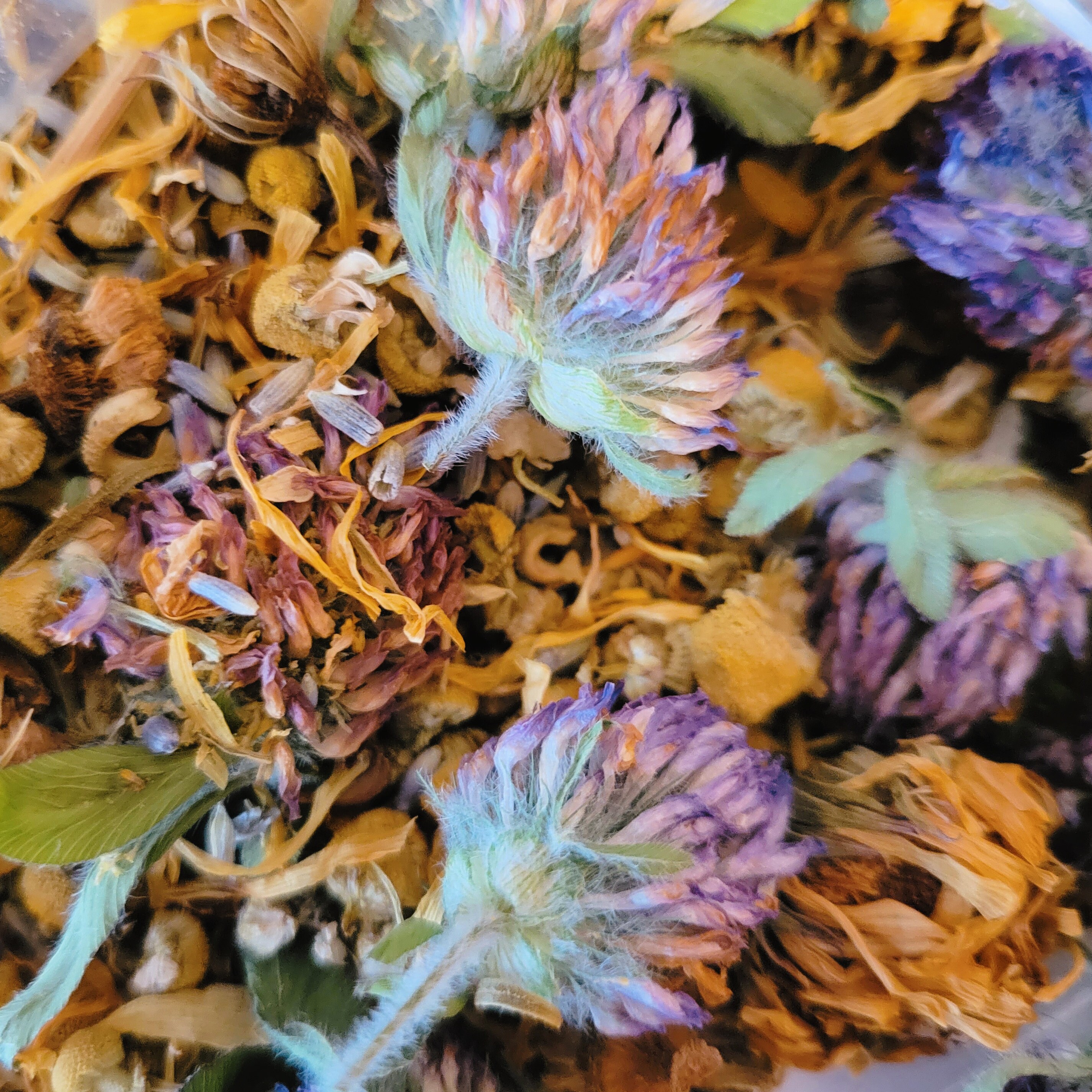 Botanical Facial Steam Renewing Facial Steam Botanical Products ...