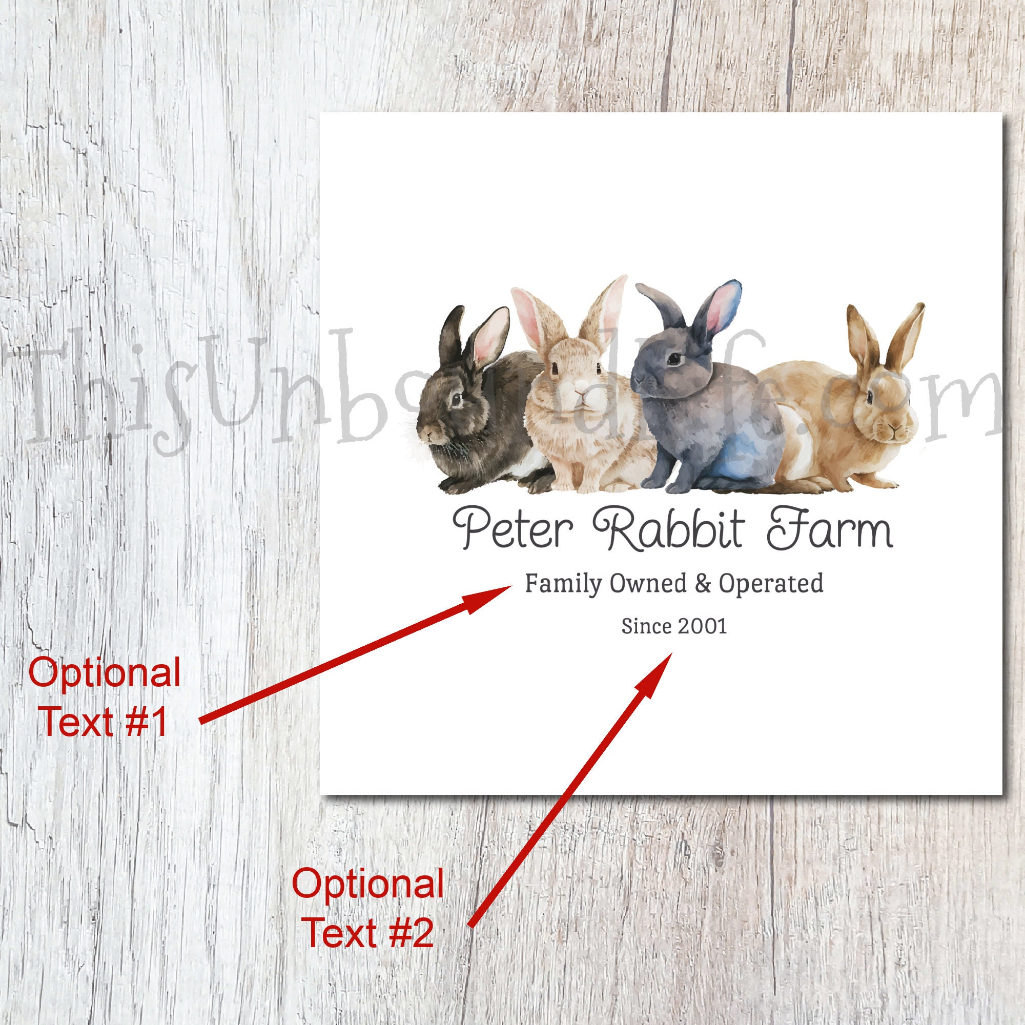Watercolor Rabbit Logo for Farm Branding - Etsy