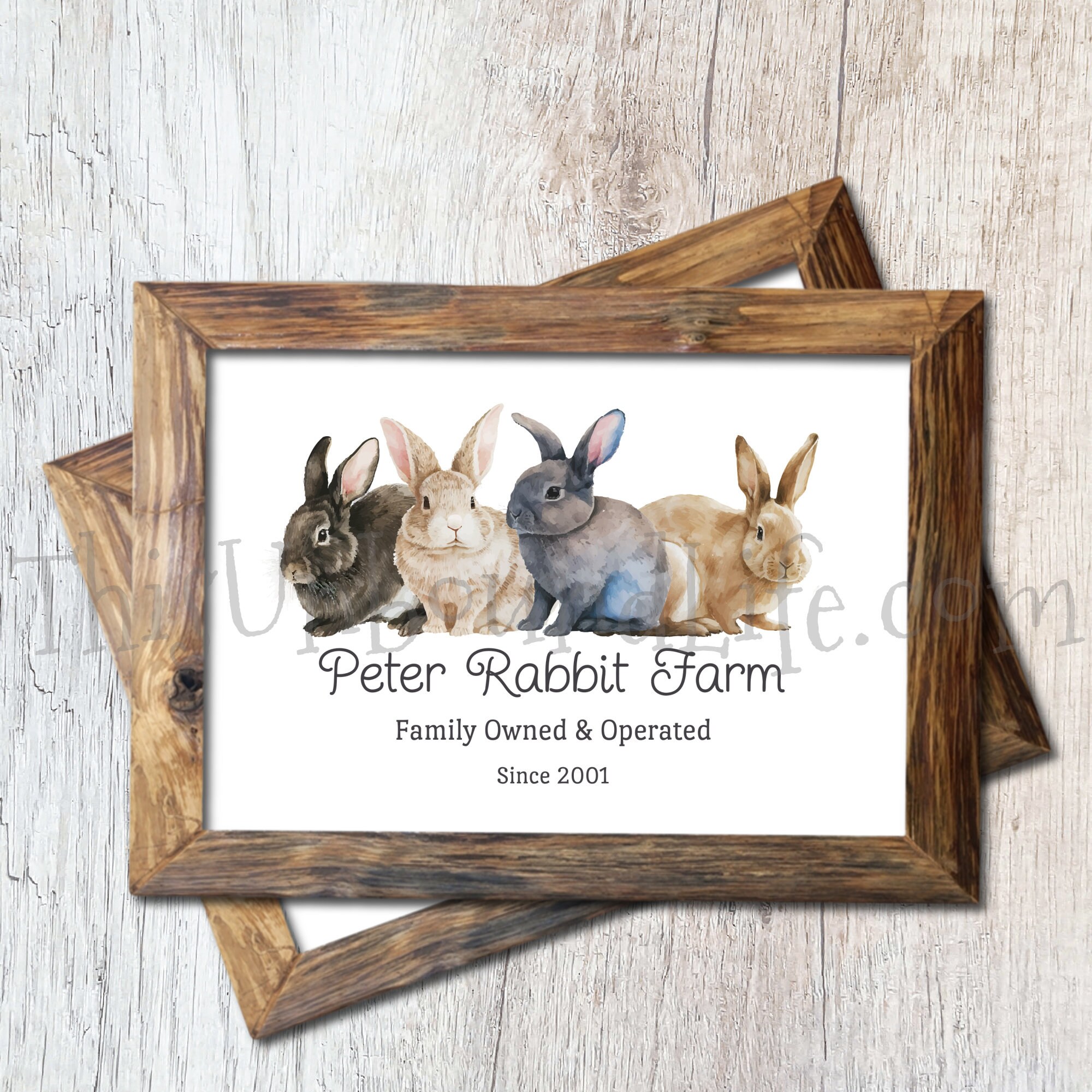 Watercolor Rabbit Logo Homestead Logo Pre-made Logo Custom Farm Logo ...
