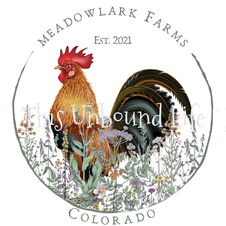 Floral Rooster Farm Logo Rooster Logo Round Chicken Logo - Etsy