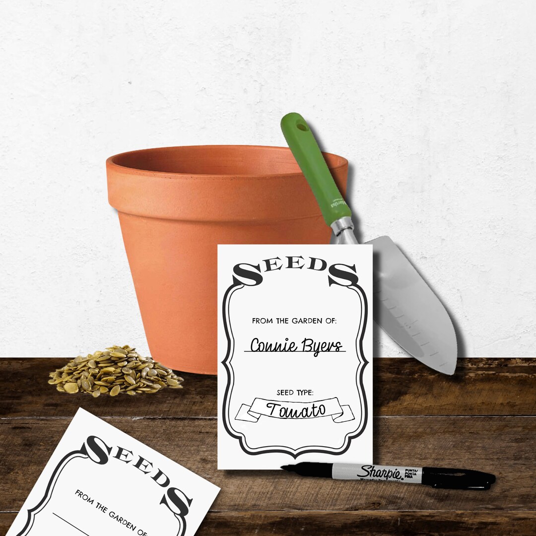 Basic Seed Packet Template Seed Envelope Seed Saving - Etsy