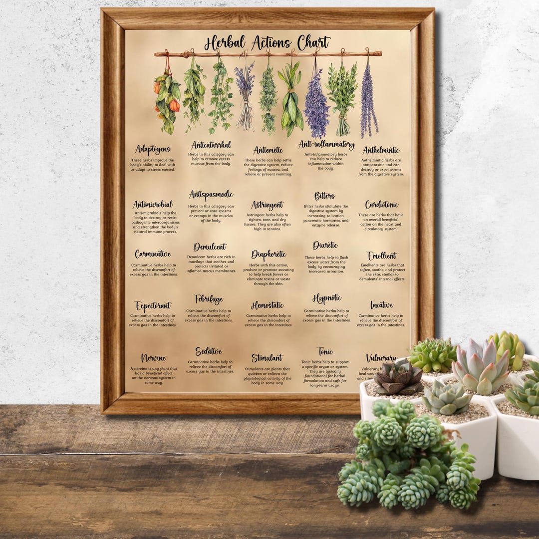 Herbal Actions Chart: Herbalist Reference Poster (digital Download) - Etsy