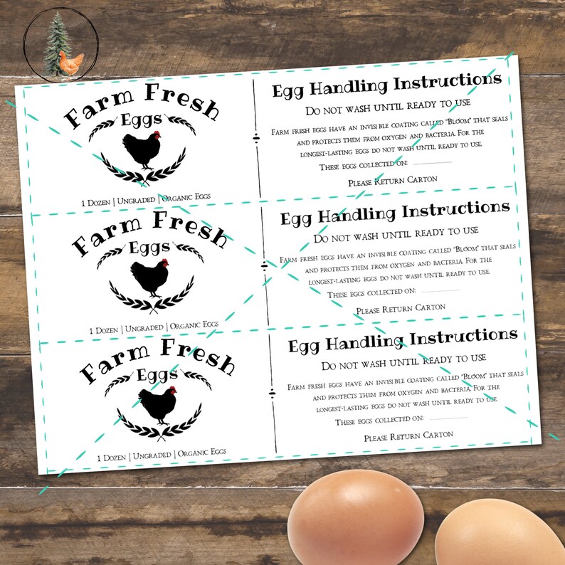 Blk Chicken, Black & White Printable Egg Carton Label, Digital Download ...