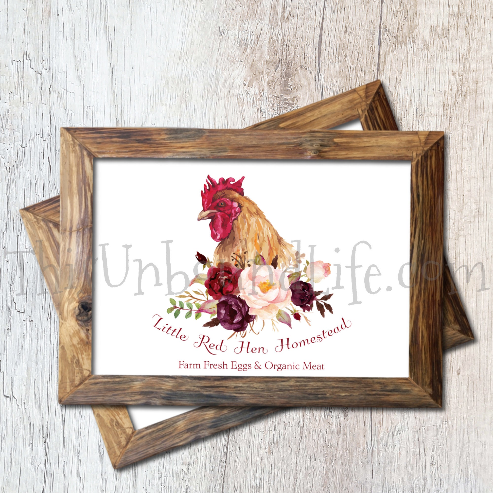 Floral Chicken Logo, Chicken Farm Logo, Homestead Logo, Custom Logo ...