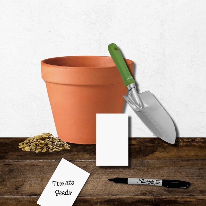 Blank Seed Packet Template Small Seed Envelope Add Your - Etsy