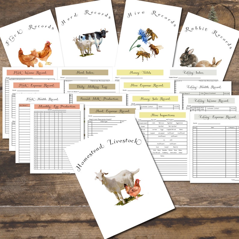 Homestead Planning Binder: 90-page Farm Planner (digital Download) - Etsy