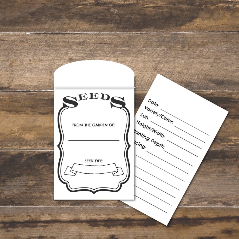 Basic Seed Packet Template Seed Envelope Seed Saving - Etsy
