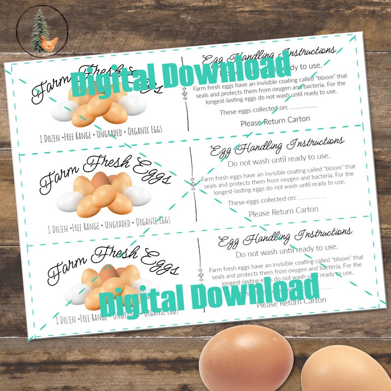 Farm Fresh Eggs Printable Egg Carton Label, Digital Download JPEG/PNG ...