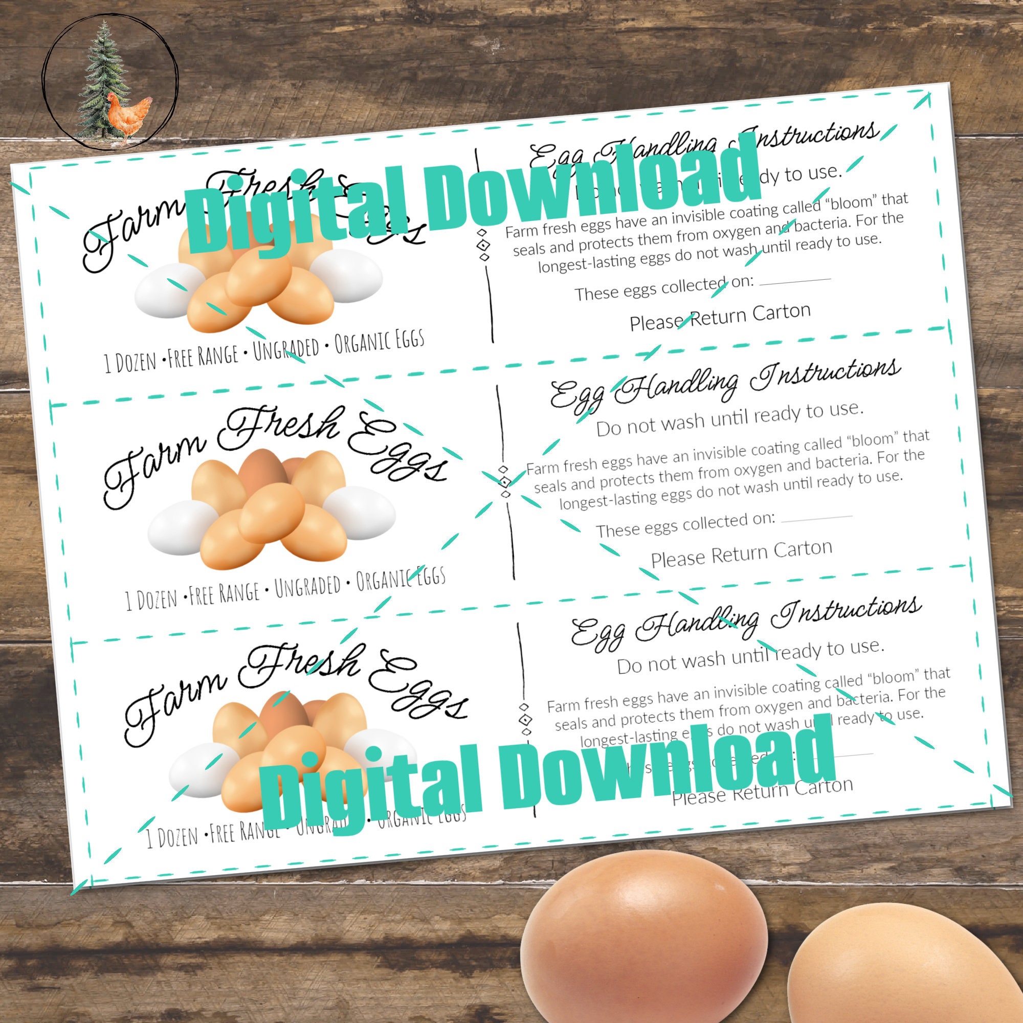 Farm Fresh Eggs Printable Egg Carton Label, Digital Download JPEG/PNG ...