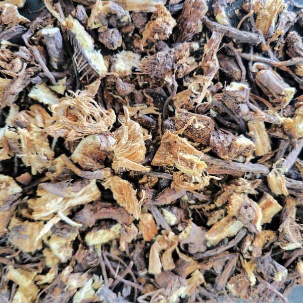 Bear Medicine - Etsy