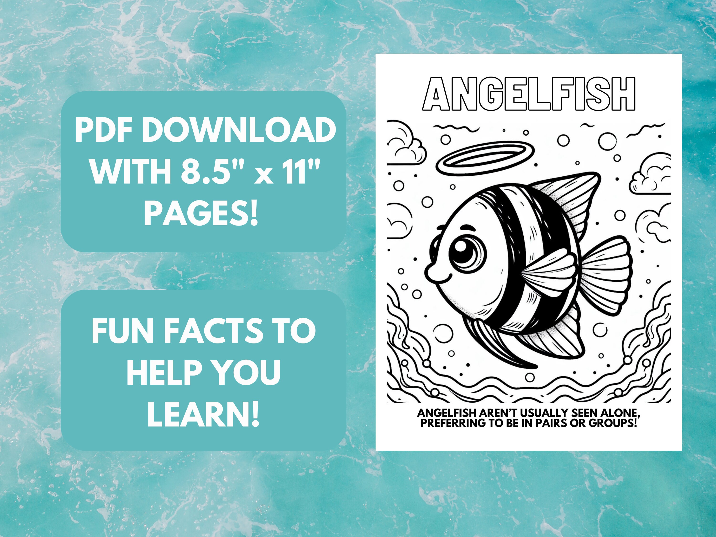 Ocean A to Z Alphabet Coloring Pages 26 Ocean Themed Coloring Pages - Etsy