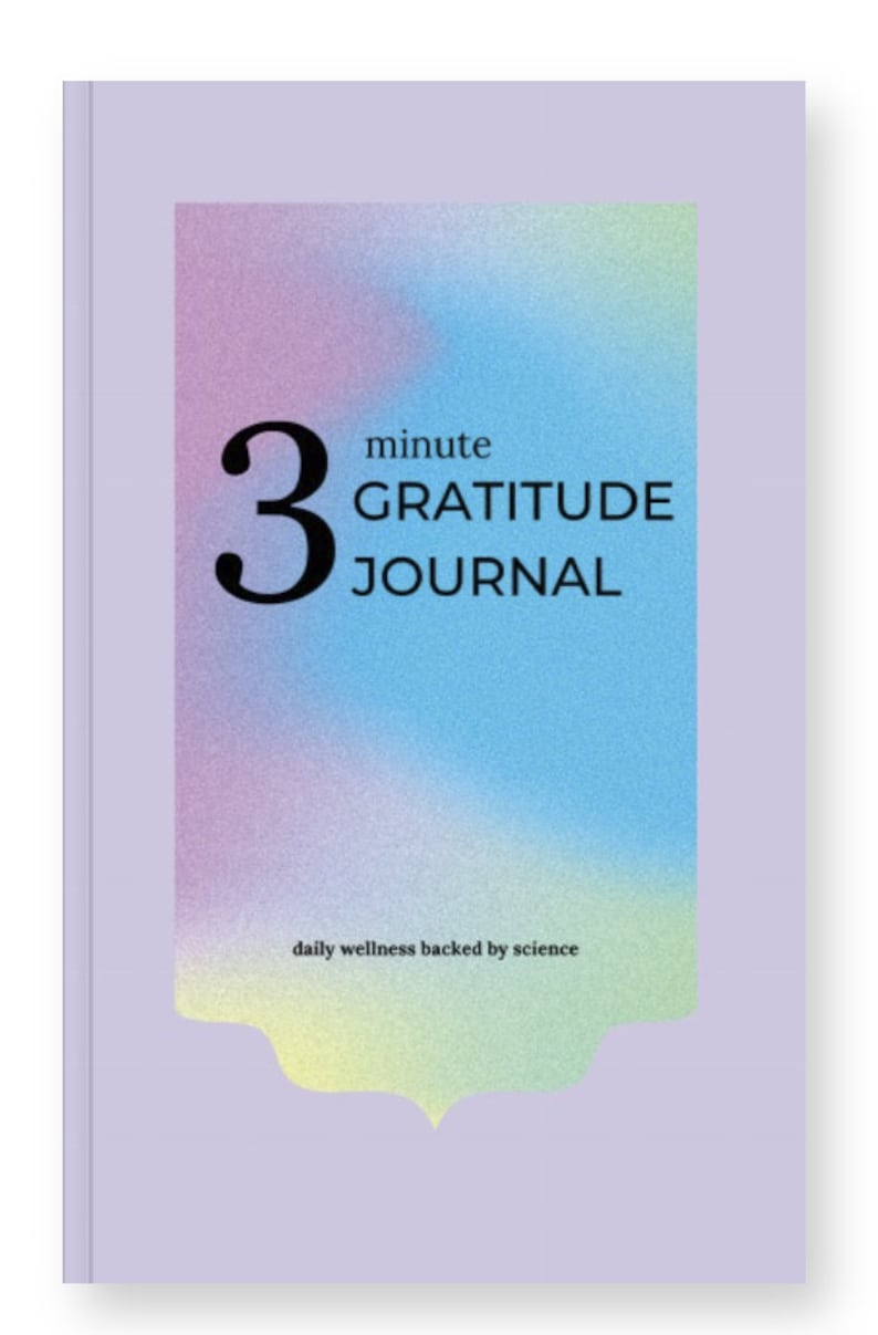 3 Minute Gratitude Journal - Etsy