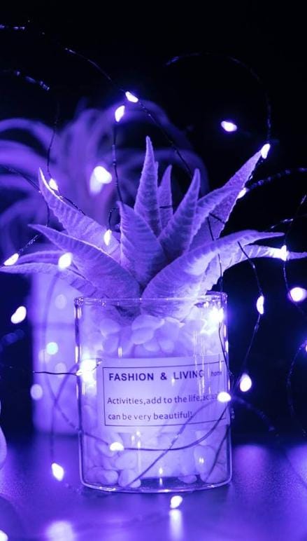 Purple Black Fairy Lights, Purple Lights, Purple Ambiance, Wire LED ...