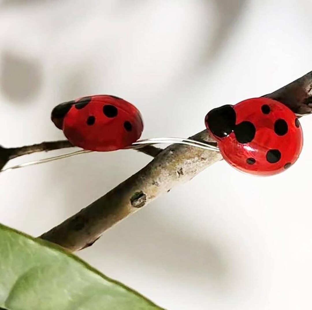 Ladybug Fairy Lights, Ladybug String Lights - Etsy