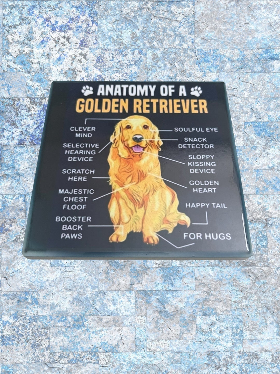 Cute Dog Anatomy of a Golden Retriever Ceramic Tile With Cork Backing ...