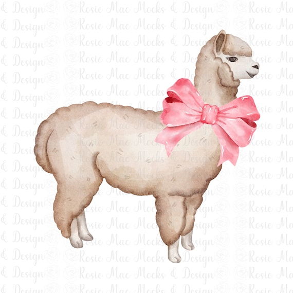 Alpaca Drawing Tumblr
