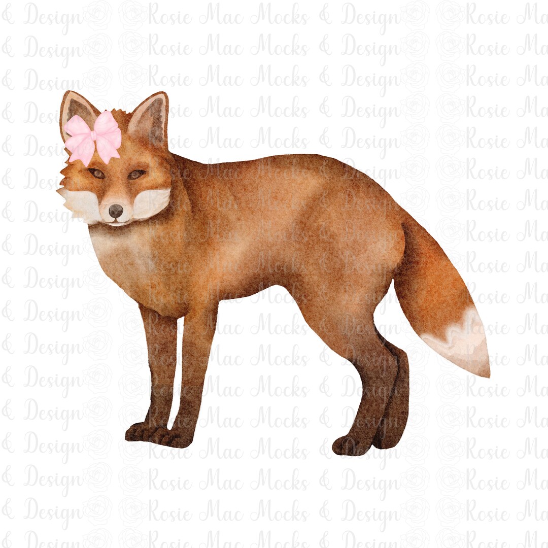 Coquette Fox PNG Cute Watercolor Farm Graphic Funny Vintage Baby Zoo ...