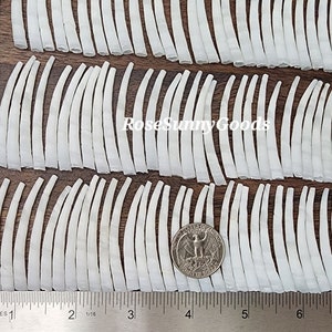 100 Pieces 1.75 Inch Smooth Dentalium Shells - Etsy