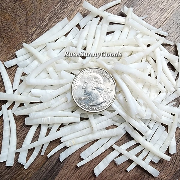 Dentalium Shell - Etsy