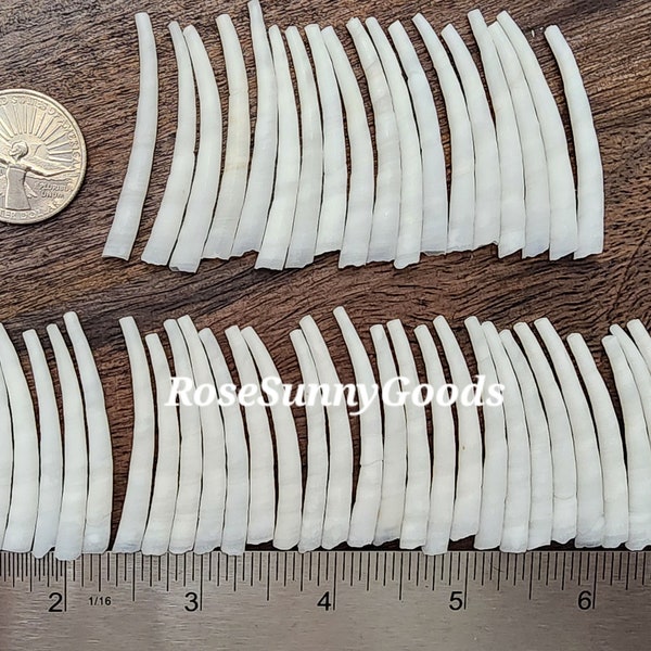 Dentalium Shell - Etsy