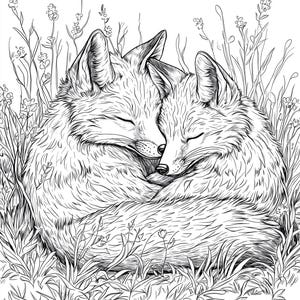 Fox Coloring Pages (50 Printable Pages!) - Etsy