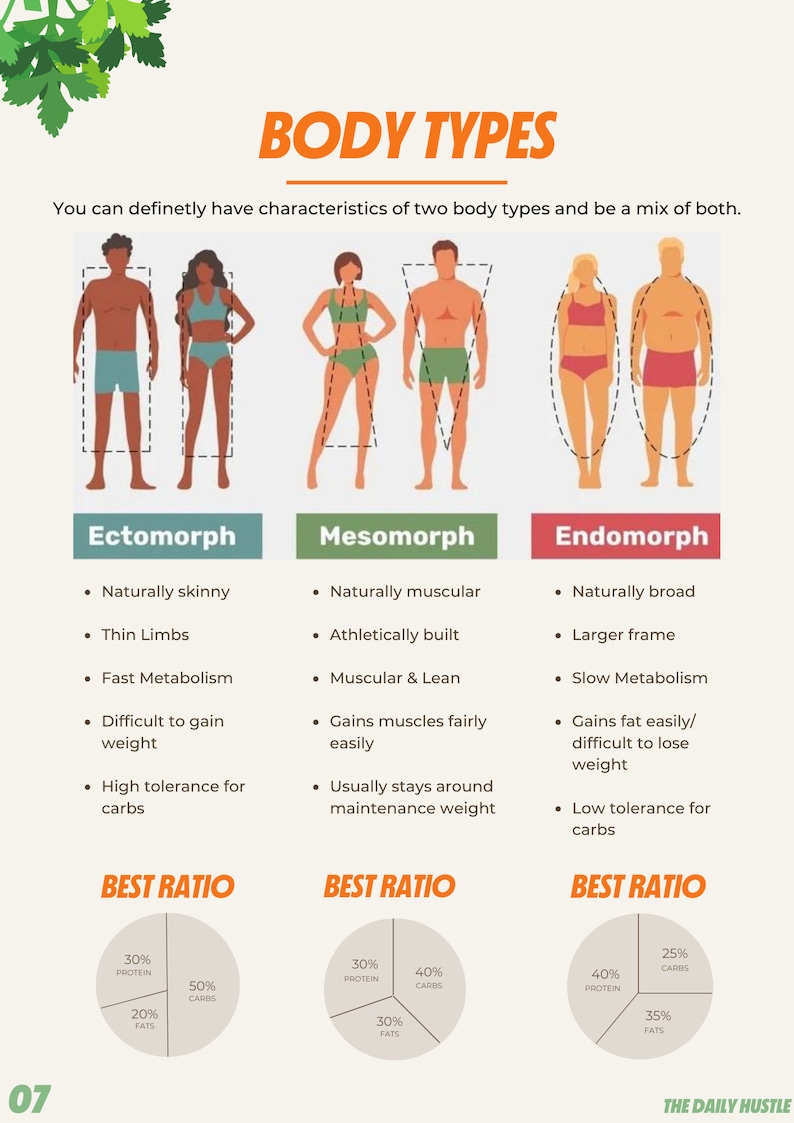 The ULTIMATE Nutrition Guide - Etsy