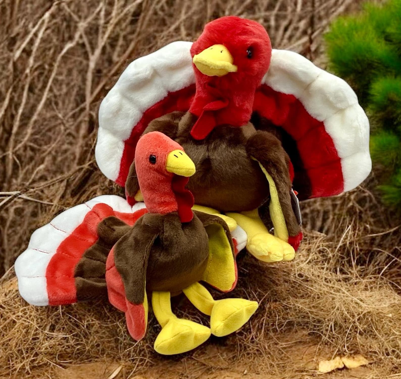 Gobbles the Turkey TY Beanie Baby and Buddy Set - Etsy