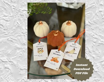 EDITABLE Hope Your Halloween is Boo-bbles of Fun Square Treat Bag Tags ...