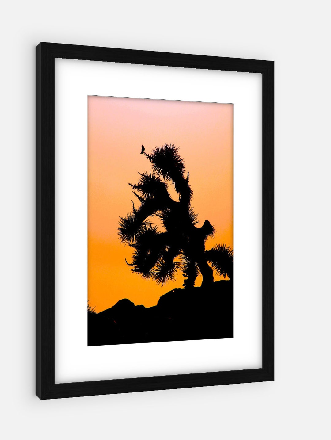 16x20 Frame Sing Unnoticed Art Photo 11x14 Displayed and - Etsy