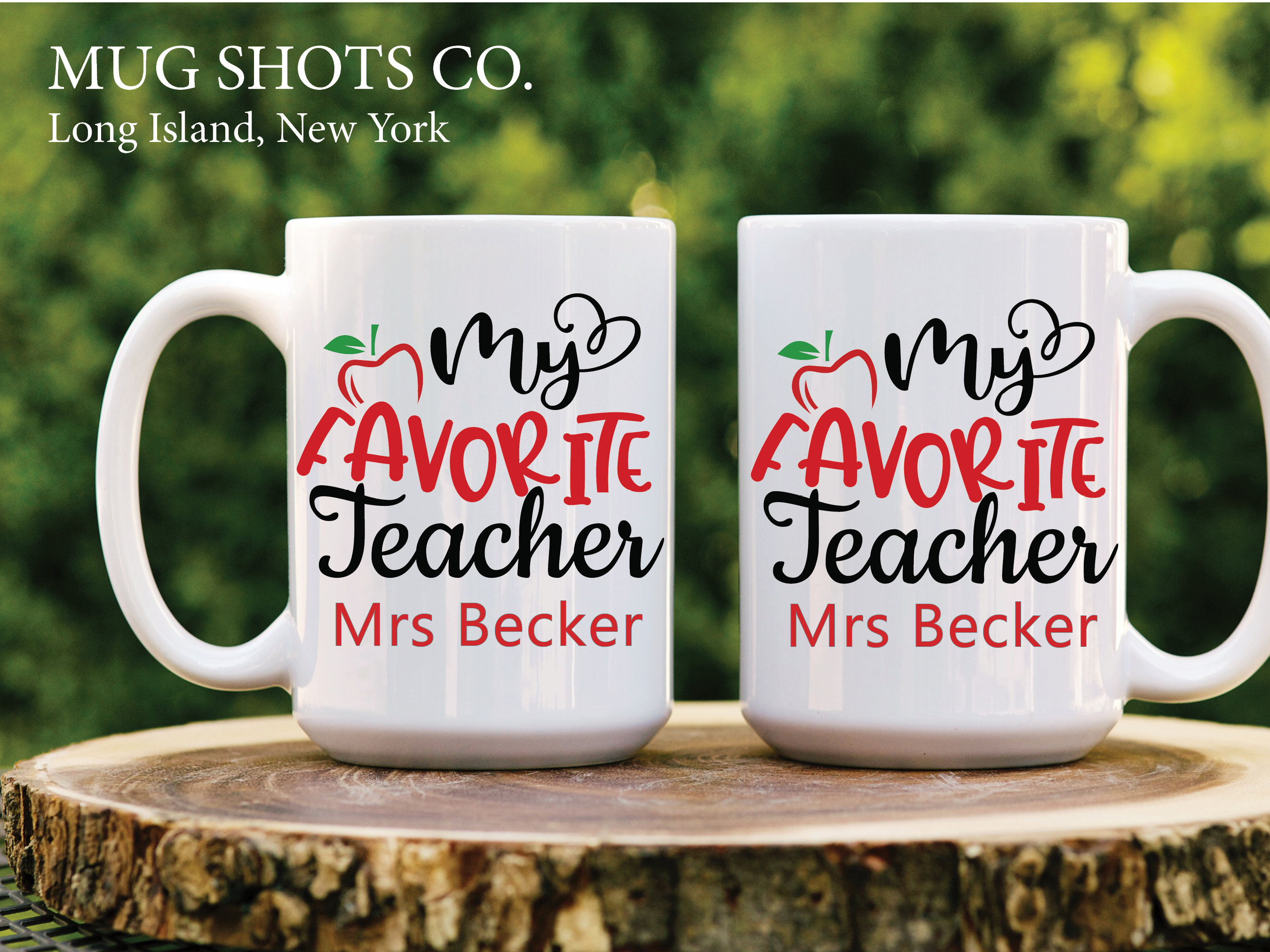 Teacher Mug Shots