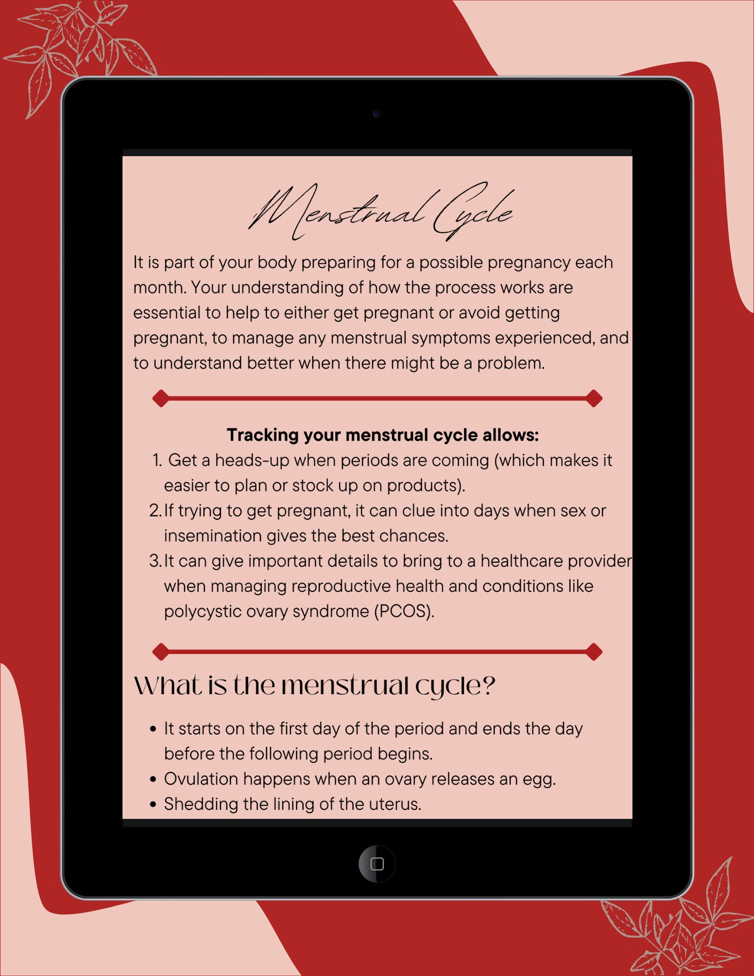 Menstrual Cycle Phases Workbook - Etsy