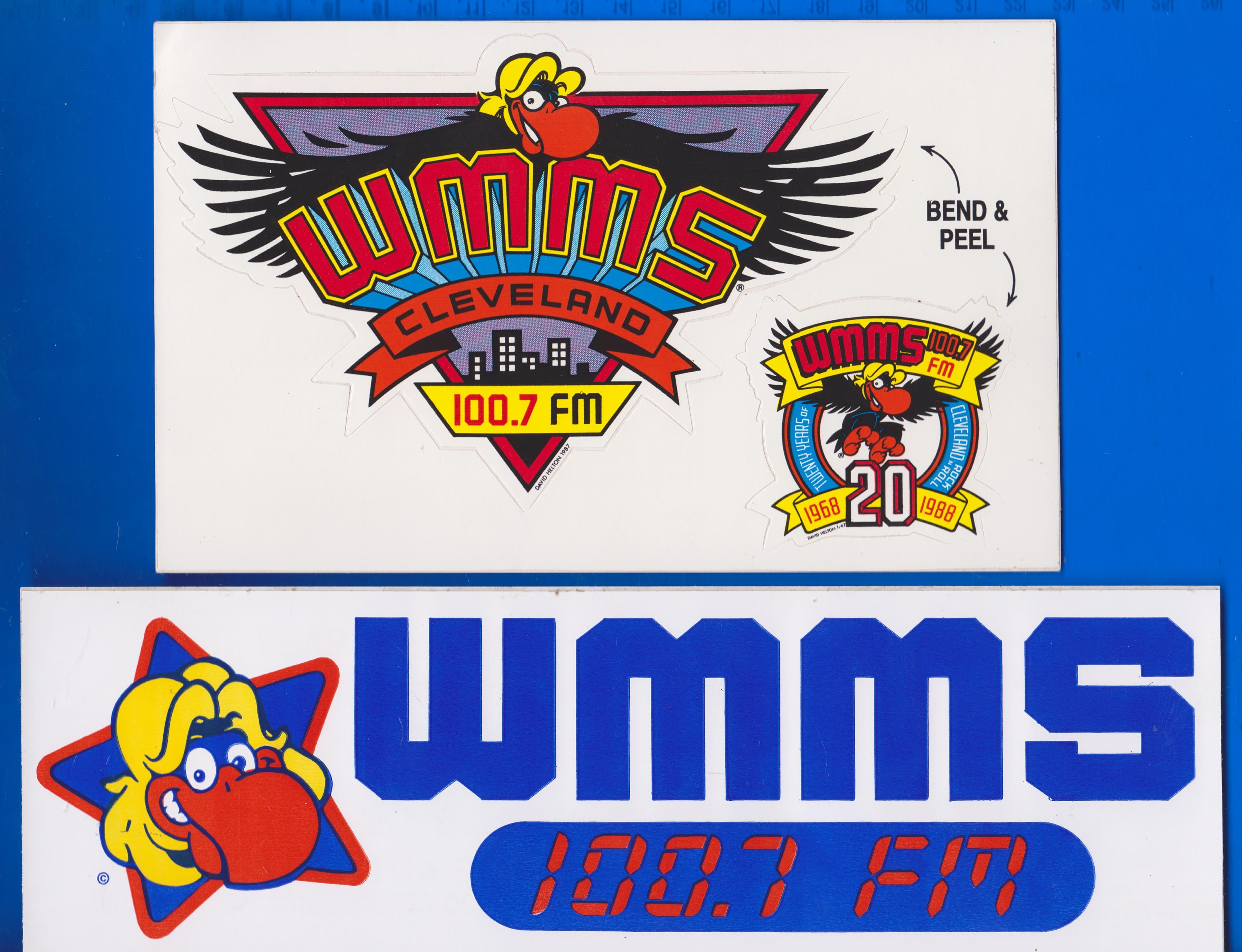 Wmms Buzzard Logo