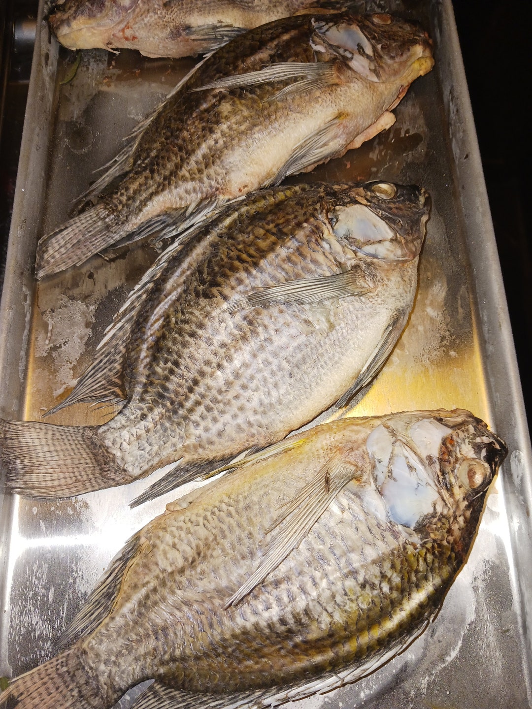 Raw Freeze Dried Whole Tilapia Pet Treats Human Grade for Your - Etsy