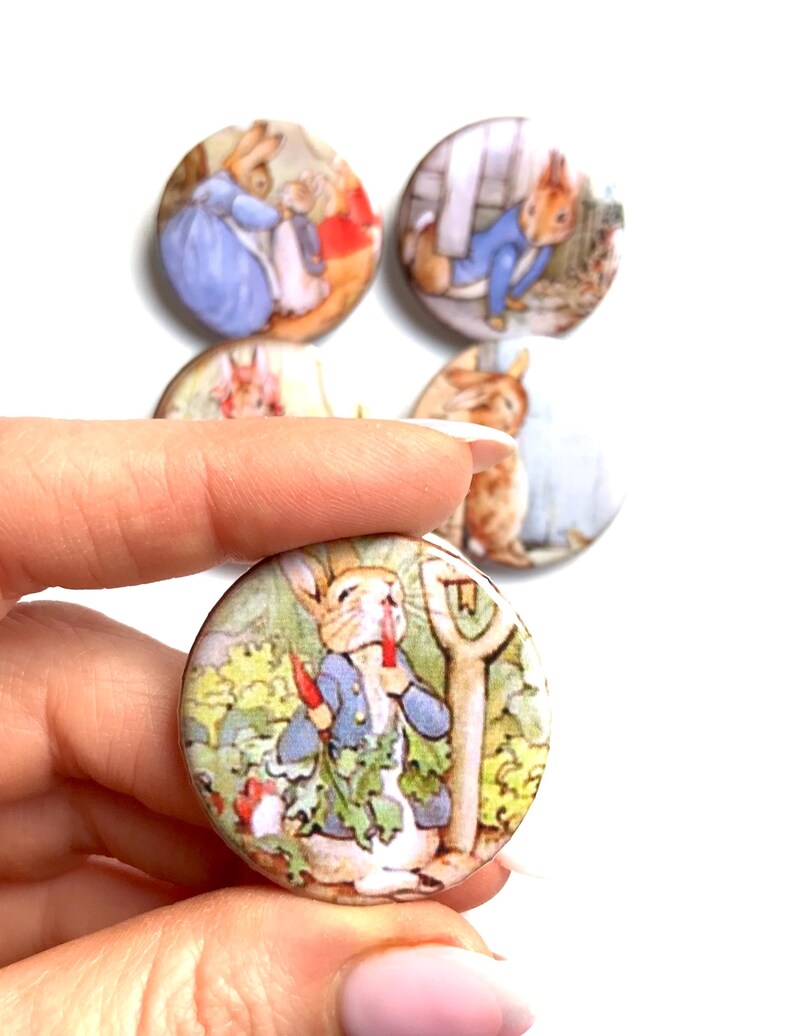 Peter Rabbit Pins/peter Rabbit Badges/set of 6 Peter Rabbit Pins/peter ...