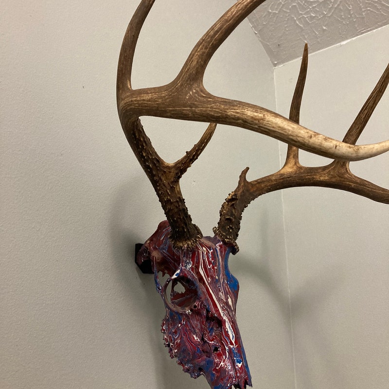 Deer Wall Mount - Etsy
