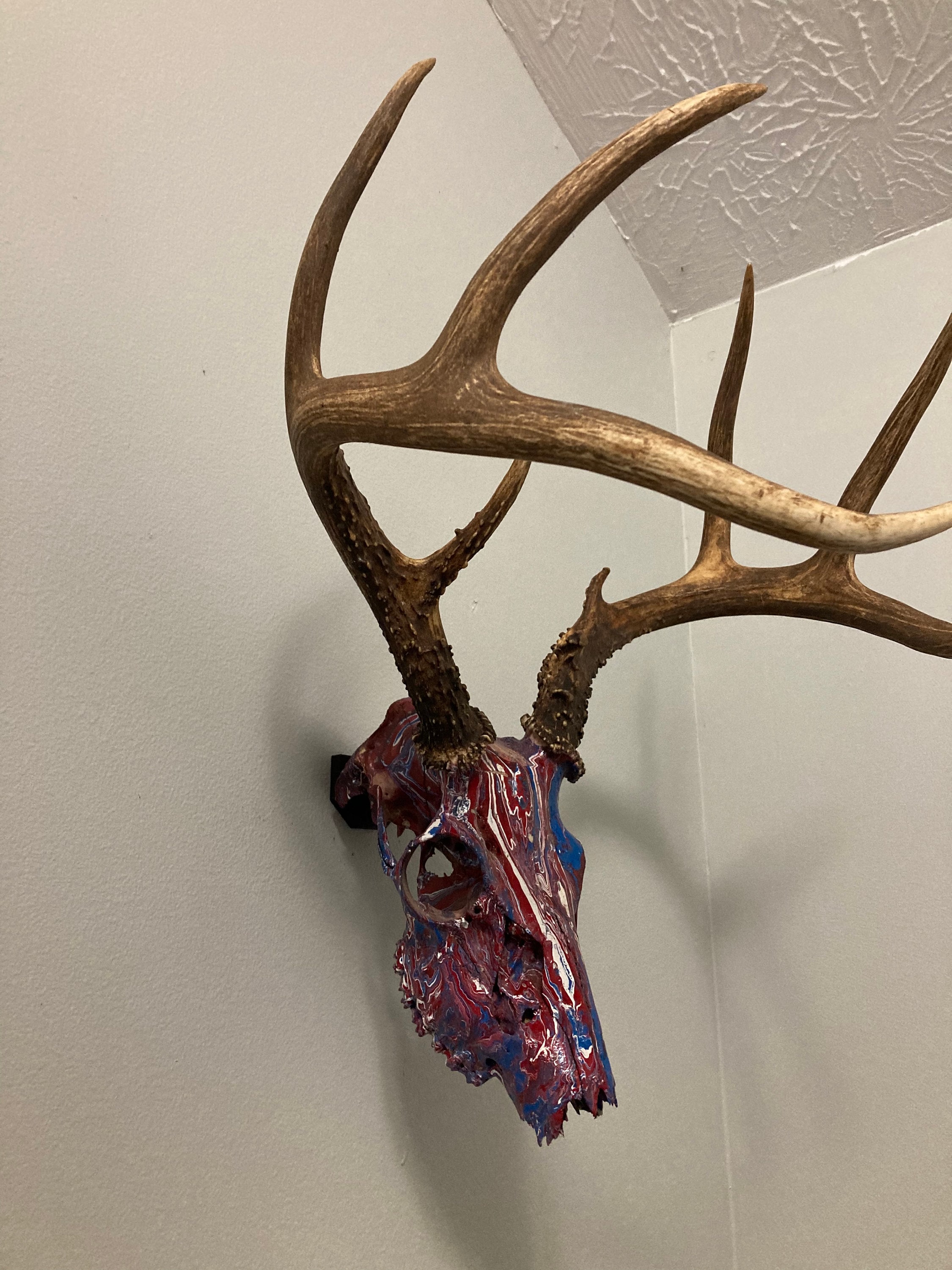 Hidden Euro Deer Wall Mount Sturdy Made From Carbon Fiber Infused Abs ...