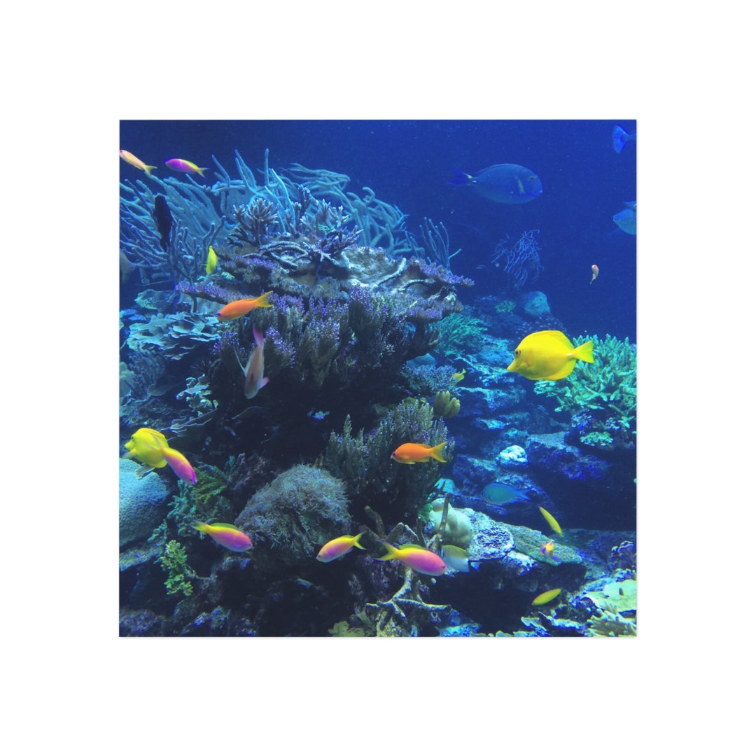 Coral Reef Square Magnet - Etsy